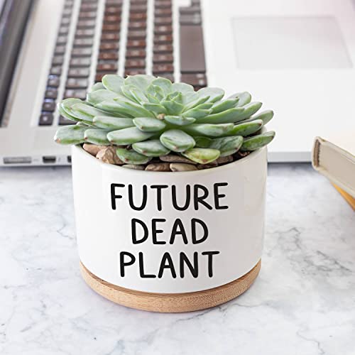 JENVIO Future Dead Plant | Ceramic Succulent Pot Plant | Cool Birthday Christmas Planter Stuff | Unique Gift | Home Kitchen Office Decor 3.6 Inch (Plant Not Included)