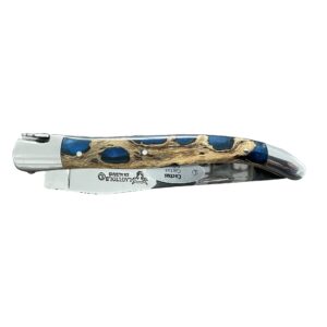 Laguiole en Aubrac Handmade Double Plates Folding Pocket Knife, 4.8-in (12cm), Cactus Blue Handle, Stainless Steel Shiny Bolsters