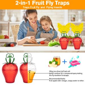 Fruit Fly Traps for Indoors,Effective Fly Catcher Gnat Traps for House with Yellow Sticky Traps,Fruit Fly Trap with Sticker with Bait Safe Non-Toxic Reusable Fly Trap for Home, Plant, Kitchen