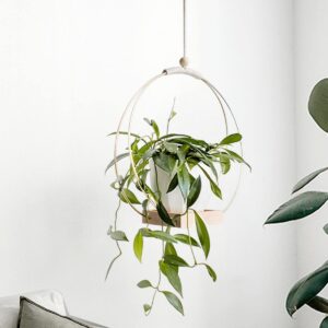 Dravmola Boho Macrame Plant Hanger - Gold, Indoor Use, Hanging Pot Not Included