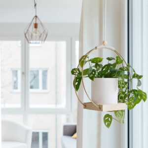 Dravmola Boho Macrame Plant Hanger - Gold, Indoor Use, Hanging Pot Not Included