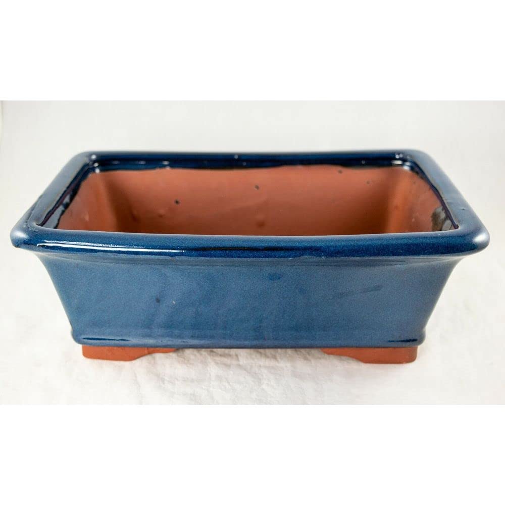 1 Pcs Rectangular Bonsai / Cactus & Succulent Pot + Mesh 12"x 9"x 4" - Dark Blue