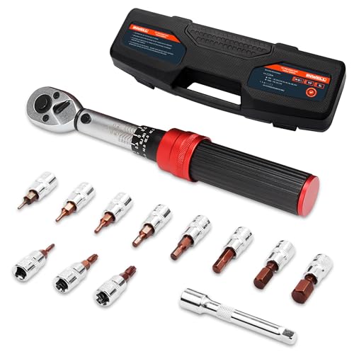 Inwell 1/4 Inch Drive Torque Wrench, 10-50 in./lbs. (1-6 Nm), Chrome Vanadium Steel, Includes Protective Case