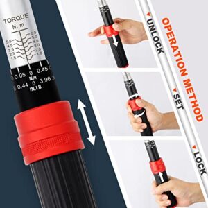 Inwell 1/4 Inch Drive Torque Wrench, 10-50 in./lbs. (1-6 Nm), Chrome Vanadium Steel, Includes Protective Case