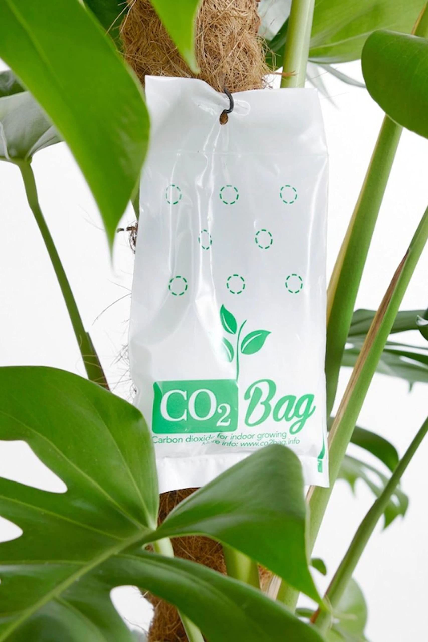 CO2 BAG -CO2 for indoor growing. Small, effective and affordable