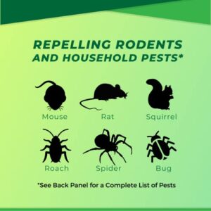 Cadorabo Mice Repellent for House, Peppermint Oil to Repel Mice and Rats, Squirrel Repellent Rodent Deterrent for Indoor Attic RV Garage Basement 10 Mouse Repellent Pouches