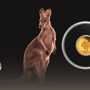 2022 P Mini Kangaroo 0.5 g gold coin in blister pack $2 Seller Mint State