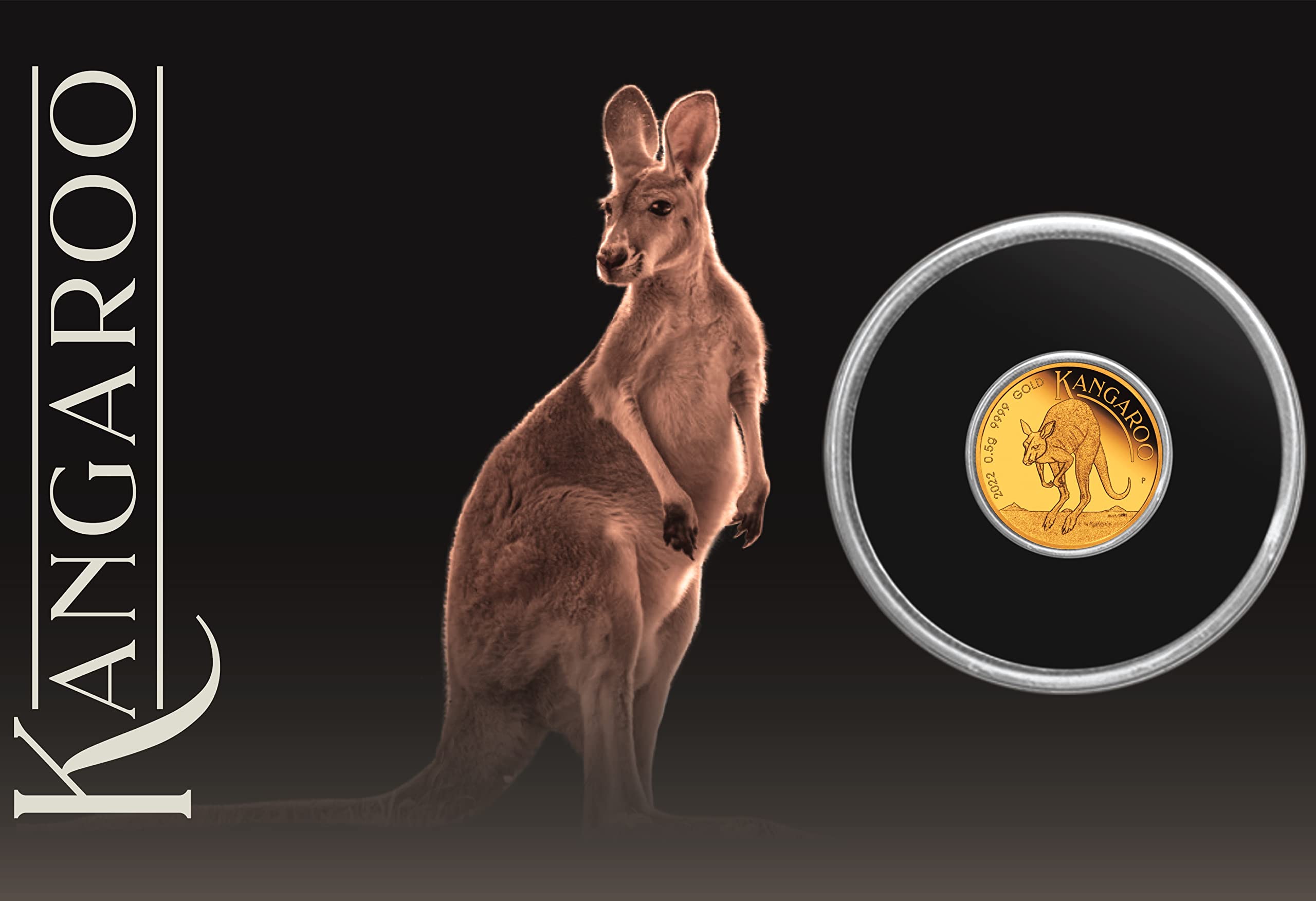 2022 P Mini Kangaroo 0.5 g gold coin in blister pack $2 Seller Mint State