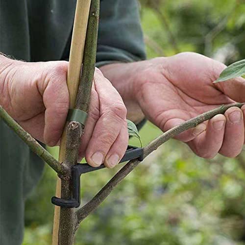 Yardwe 50 pcs Growth Trainers to Black Low Clips Nudge Tool Tree Open Limbs Branch Pullers Trees Tools Spreaders Reusable Trainer Bonsai Limb Stress Branches Clamps Plant Angle Trunk