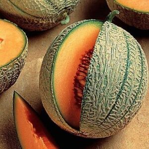 50 minnesota midget cantaloupe seeds for planting heirloom non gmo 1.5+ grams garden vegetable bulk survival hominy