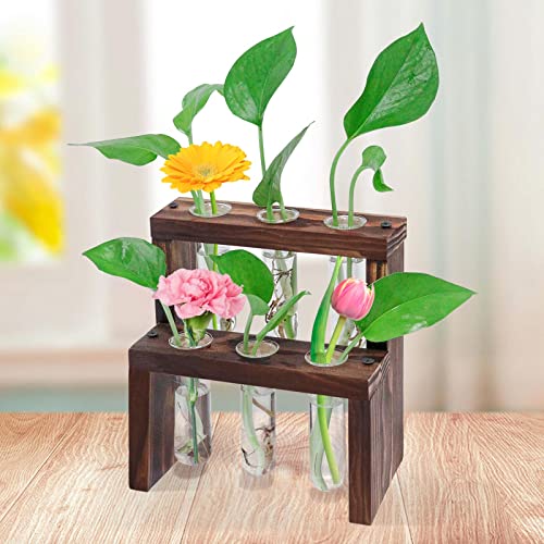 HURZMORO Double Layer Propagation Stations Plant Terrarium with Wooden Stand - 6 Glass Test Tube for Hydroponics Air Plants Indoor House Garden Office Desktop Wall Hanging Decor