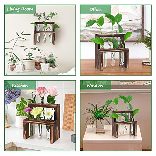 HURZMORO Double Layer Propagation Stations Plant Terrarium with Wooden Stand - 6 Glass Test Tube for Hydroponics Air Plants Indoor House Garden Office Desktop Wall Hanging Decor