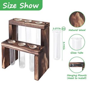 HURZMORO Double Layer Propagation Stations Plant Terrarium with Wooden Stand - 6 Glass Test Tube for Hydroponics Air Plants Indoor House Garden Office Desktop Wall Hanging Decor