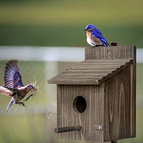 Bird House for Outside with Predator Guard, Nesting Box Birdhouse for Outdoor Wild Bird Watching, Royal Blue