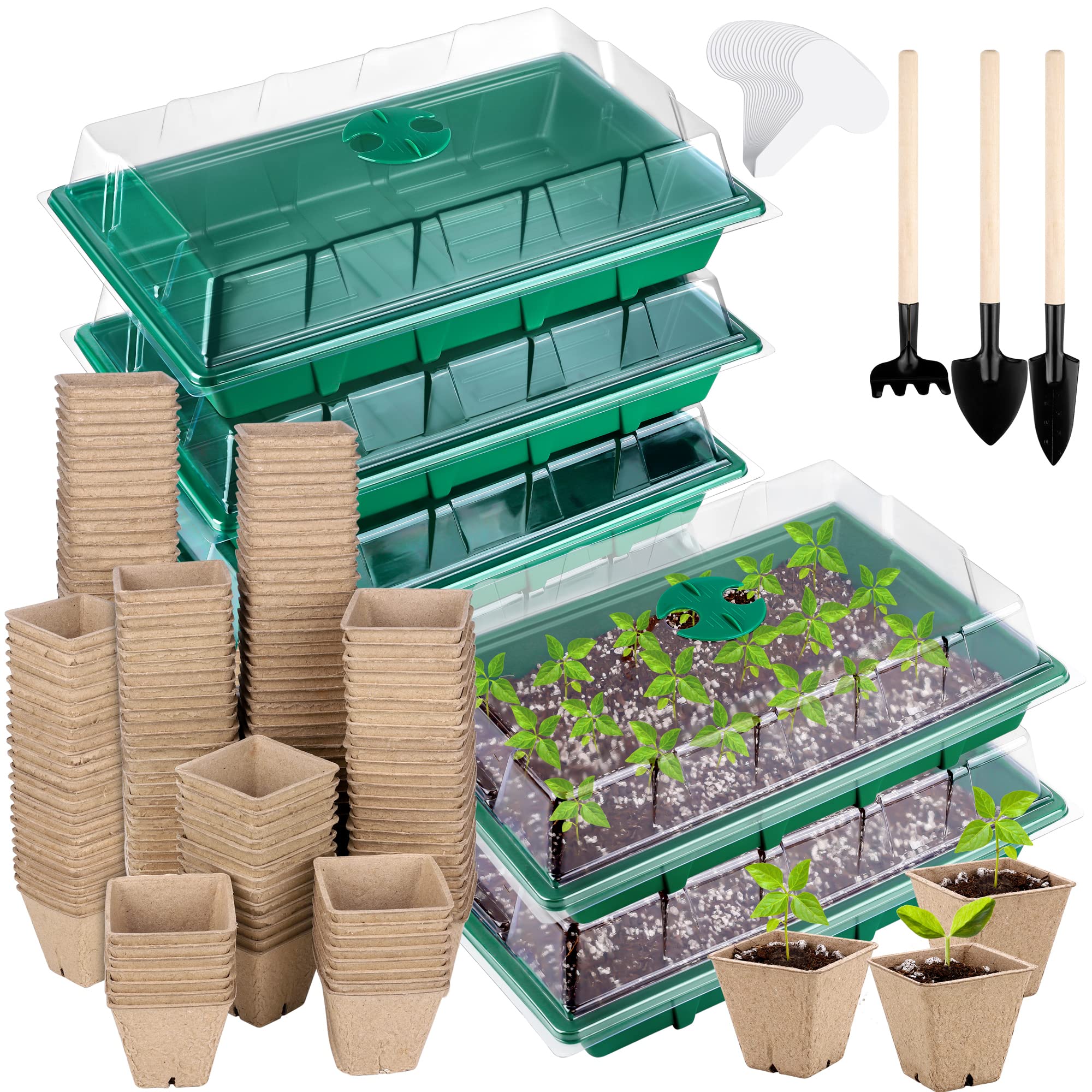 Hahood 6 Pack Seed Starter Tray Kit with 120 Square Peat Pots for Seedlings, Including Plants Labels, Planting Tools, Growing Trays Plastic Germination Tray Paper Starter Pods for Plant Seeds, Green