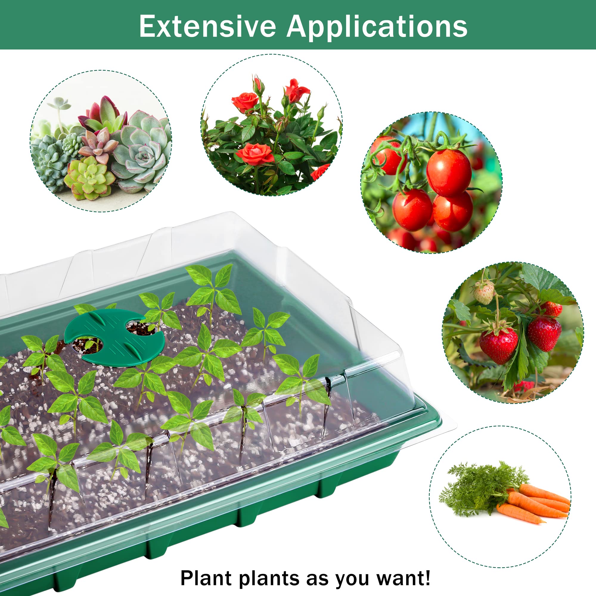 Hahood 6 Pack Seed Starter Tray Kit with 120 Square Peat Pots for Seedlings, Including Plants Labels, Planting Tools, Growing Trays Plastic Germination Tray Paper Starter Pods for Plant Seeds, Green