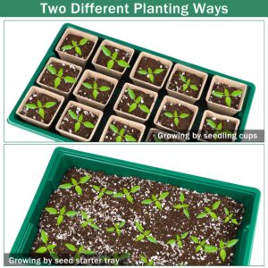 Hahood 6 Pack Seed Starter Tray Kit with 120 Square Peat Pots for Seedlings, Including Plants Labels, Planting Tools, Growing Trays Plastic Germination Tray Paper Starter Pods for Plant Seeds, Green