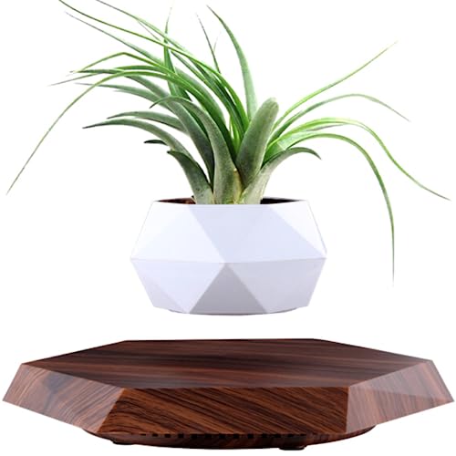 MOOCCI Floating Plant Pot Magnetic Levitating Plant Pot for Succulents, Air Bonsai and Fake Flowers and Plants, Unique Decor for Home, Office and Desk (Brown)