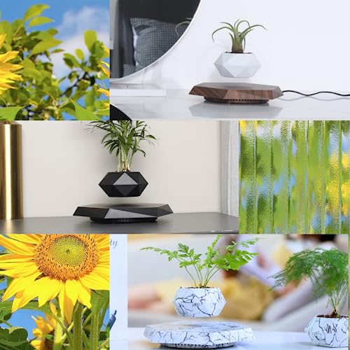 MOOCCI Floating Plant Pot Magnetic Levitating Plant Pot for Succulents, Air Bonsai and Fake Flowers and Plants, Unique Decor for Home, Office and Desk (Brown)