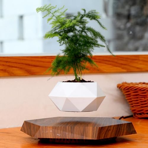 MOOCCI Floating Plant Pot Magnetic Levitating Plant Pot for Succulents, Air Bonsai and Fake Flowers and Plants, Unique Decor for Home, Office and Desk (Brown)