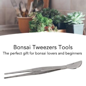 Deosdum Stainless Steel Bonsai Tweezers Long Tweezers with Crescent Moon Spatula Head,Professional Bonsai Tool for Plants, Gardening, Succulents, Kitchen(Straight)