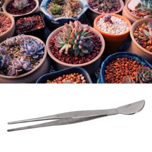 Deosdum Stainless Steel Bonsai Tweezers Long Tweezers with Crescent Moon Spatula Head,Professional Bonsai Tool for Plants, Gardening, Succulents, Kitchen(Straight)