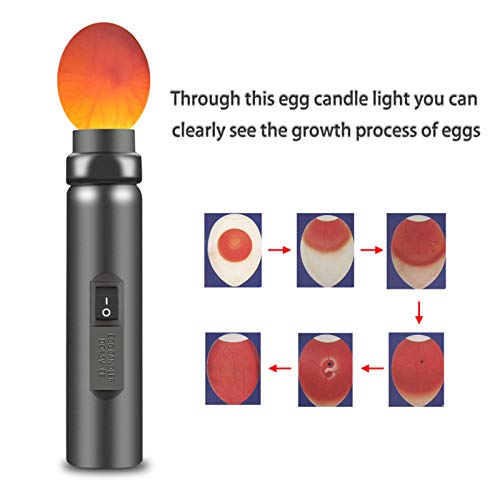 Smoostart Egg Candler, LED Light Egg Candler Tester, Chicken Flashlight Candeling Light for Eggs, Egg Incubator Light Monitor Egg Development for Chicken Bird Egg