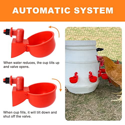 Belinova Chicken Water Cups 12 Pack,3/8 Inch Automatic Chicken Water Feeder,Geese,Quail,Poultry Waterer Kit for Ducks,BirdsWater Bowls…