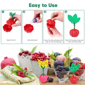 Fruit Fly Trap for Indoors, Safe Fly Catcher Gnat Trap Killer with Sticky Traps, Effective Gnat Trap with Bait, Non-Toxic and Odorless Fly Trap for Home,Kitchen