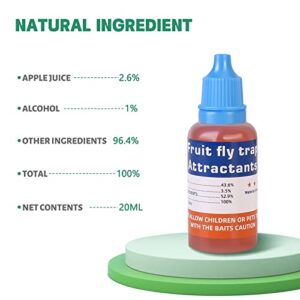 Fruit Fly Trap for Indoors, Safe Fly Catcher Gnat Trap Killer with Sticky Traps, Effective Gnat Trap with Bait, Non-Toxic and Odorless Fly Trap for Home,Kitchen