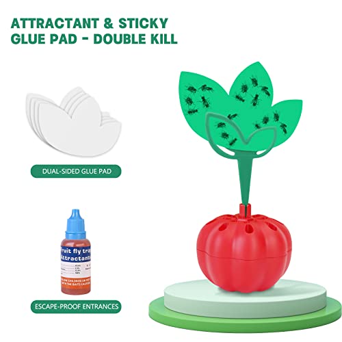 Fruit Fly Trap for Indoors, Safe Fly Catcher Gnat Trap Killer with Sticky Traps, Effective Gnat Trap with Bait, Non-Toxic and Odorless Fly Trap for Home,Kitchen