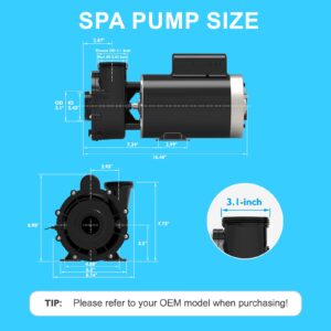 LINGXIAO SPA Pump, 4HP Hot Tub Pump - 2 Speed LX SPA Pump Motor 220-240V, 2" Port, 56 Frame (Model: 56WUA400-II)