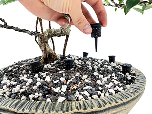 "Bonsai Fertilizer Baskets - 10pcs Pack | Use with Any Granular Fertilizer, Organic or Non-Organic | The Bonsai Supply"