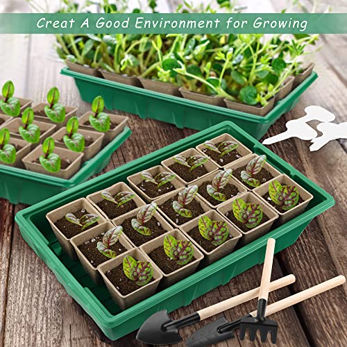 Hahood 4 Pack Seed Starter Tray Kit, 120 Square Seed Peat Pots for Seedlings with Plants Labels, Planting Tools, Plastic Growing Germination Trays with Lids for Indoor Outdoor Gardening, Green