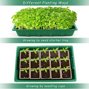 Hahood 4 Pack Seed Starter Tray Kit, 120 Square Seed Peat Pots for Seedlings with Plants Labels, Planting Tools, Plastic Growing Germination Trays with Lids for Indoor Outdoor Gardening, Green