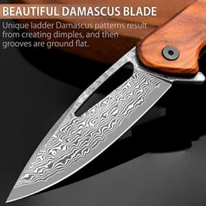 NedFoss PEGASUS Damascus Pocket Knife for Men, 3.5" Ladder Pattern Damascus Steel Folding Knife with Rosewood Handle, Ball Bearings Pivot, Deep Carry Clip, EDC Knife Camping Gifts for Men Women