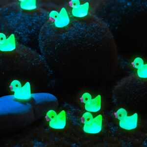 100 Pieces Mini Resin Duck Charms Miniature Duck Figures Tiny Duck Ornament Micro Garden Landscape Aquarium Dollhouse Decor for Christmas Accessories (Glow Clear)