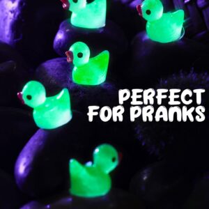 100 Pieces Mini Resin Duck Charms Miniature Duck Figures Tiny Duck Ornament Micro Garden Landscape Aquarium Dollhouse Decor for Christmas Accessories (Glow Clear)