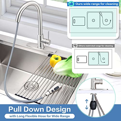 Homikit Kitchen Faucet with 2 Sprayer, Pull Down Kitchen Sink Faucets Brushed Nickel, 18/10 Stainless Steel Single Handle Kitchen Farmhouse RV Bar Laundry Sink Faucet Drip Free