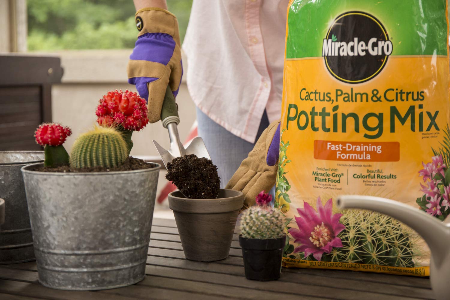 Miracle-Gro Cactus, Palm & Citrus Potting Mix, 8 qt. (3-Pack)