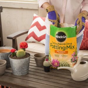 Miracle-Gro Cactus, Palm & Citrus Potting Mix, 8 qt. (3-Pack)