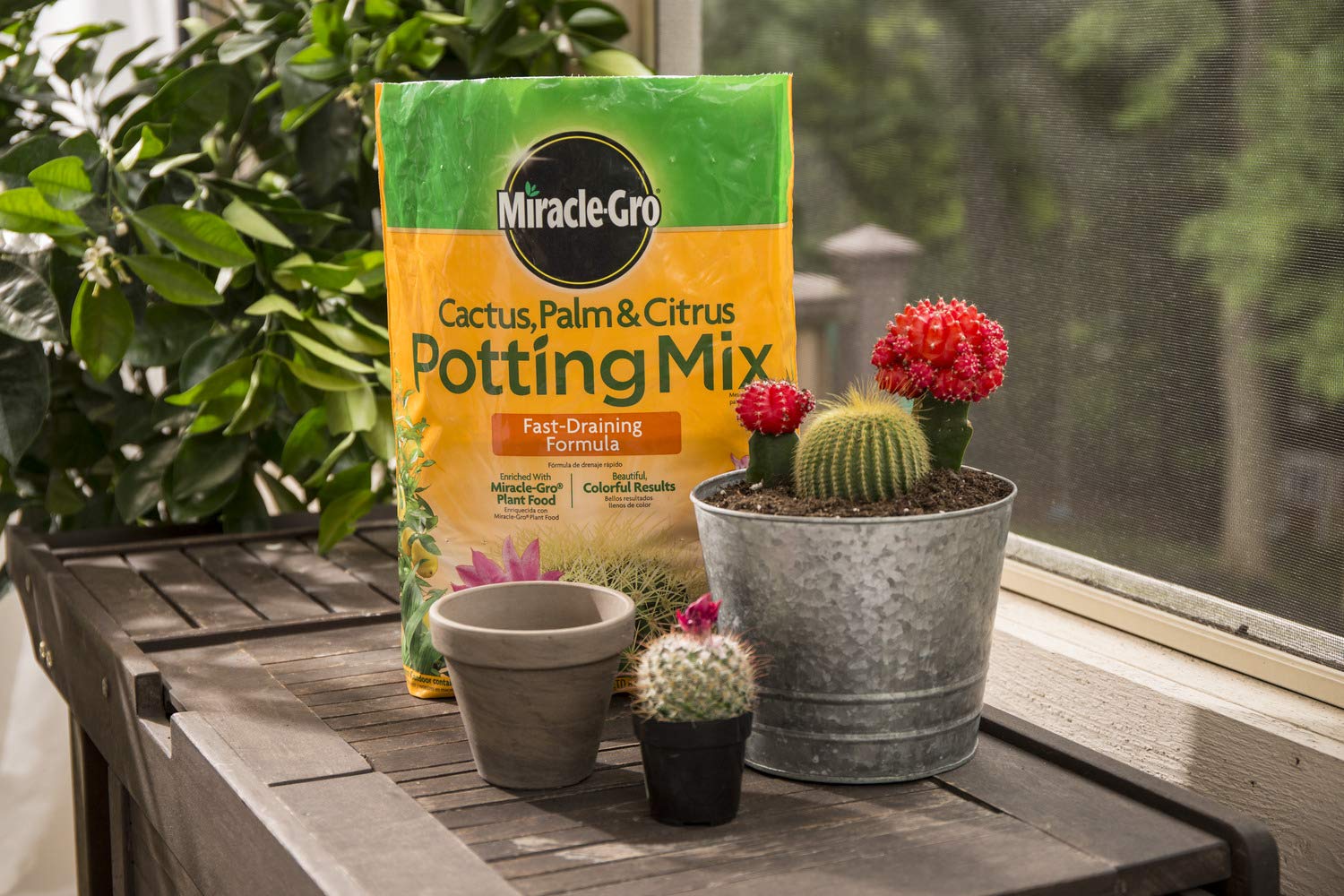 Miracle-Gro Cactus, Palm & Citrus Potting Mix, 8 qt. (3-Pack)