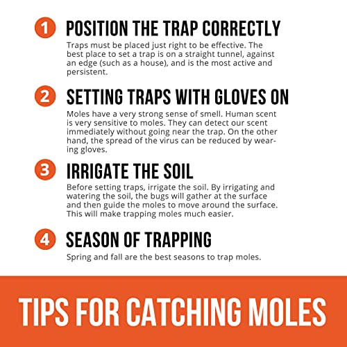 Ubalun Mole Traps That Kill, Easy Setup and Quick Kill Scissor Traps, Vole Gopher Trap for Lawns, Heavy Duty and Non-Toxic (1 Trap)