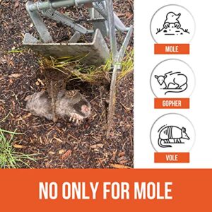 Ubalun Mole Traps That Kill, Easy Setup and Quick Kill Scissor Traps, Vole Gopher Trap for Lawns, Heavy Duty and Non-Toxic (1 Trap)