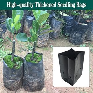 DredQcco 100PACK Plant Grow Bags,Thicken PE Seedling Bag Fruit Tree Seedling Cup Bonsai Planting Bag with Breathable Holes for Garden Black Planting Bags Nursery Bags (5.9'' Dia x 10'' H)