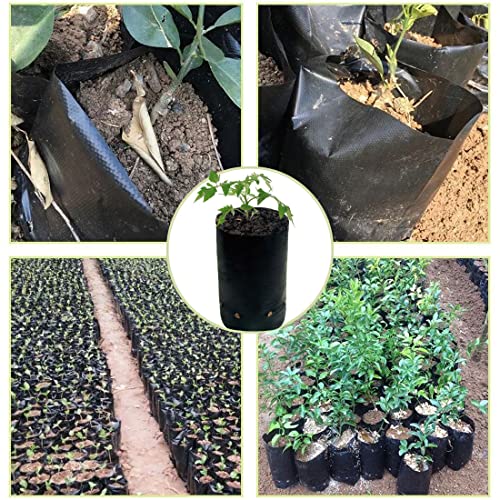 DredQcco 100PACK Plant Grow Bags,Thicken PE Seedling Bag Fruit Tree Seedling Cup Bonsai Planting Bag with Breathable Holes for Garden Black Planting Bags Nursery Bags (5.9'' Dia x 10'' H)