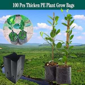 DredQcco 100PACK Plant Grow Bags,Thicken PE Seedling Bag Fruit Tree Seedling Cup Bonsai Planting Bag with Breathable Holes for Garden Black Planting Bags Nursery Bags (5.9'' Dia x 10'' H)