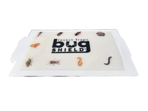 Bug Shield Sticky Glue Traps 72 Glue Boards, All Types of Incets, Spiders, Cockroaches, Ants, Cave Crickets, and More. Professional Strength Glue.