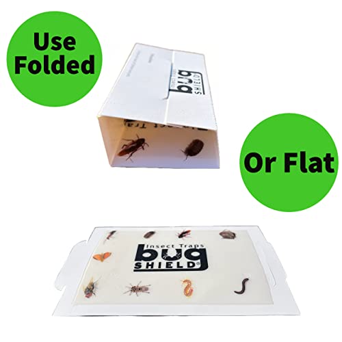 Bug Shield Sticky Glue Traps 72 Glue Boards, All Types of Incets, Spiders, Cockroaches, Ants, Cave Crickets, and More. Professional Strength Glue.