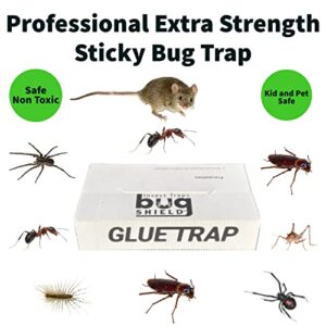 Bug Shield Sticky Glue Traps 72 Glue Boards, All Types of Incets, Spiders, Cockroaches, Ants, Cave Crickets, and More. Professional Strength Glue.